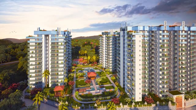 Royal Nest Group